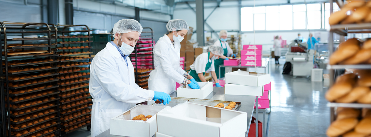 Why Gloves and Hairnets are Vital in Food Manufacturing and Packaging ...
